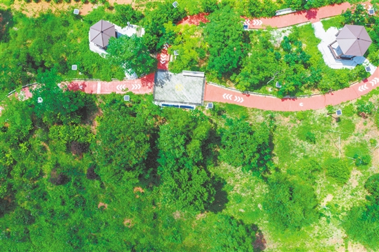 恩平市横陂镇工业强、城乡美、农业优 宝藏小镇魅力大_恩平资讯_江门市人民政府门户网站